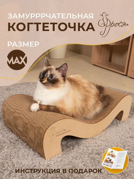 Когтеточка для кошки, картонная Макс - купить с доставкой по выгодным ...
