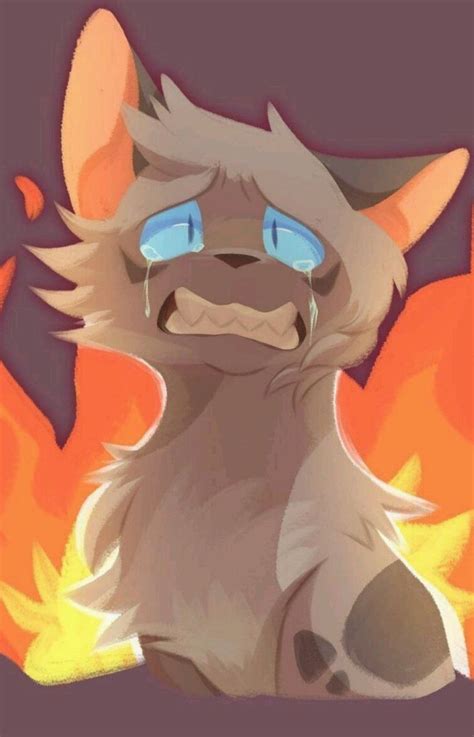 Discuss Everything About Коты-воители вики | Fandom