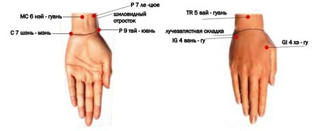 Антистресс • Спинор-М