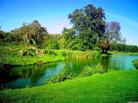 felicidadesempre-felicidade: À mãe natureza...