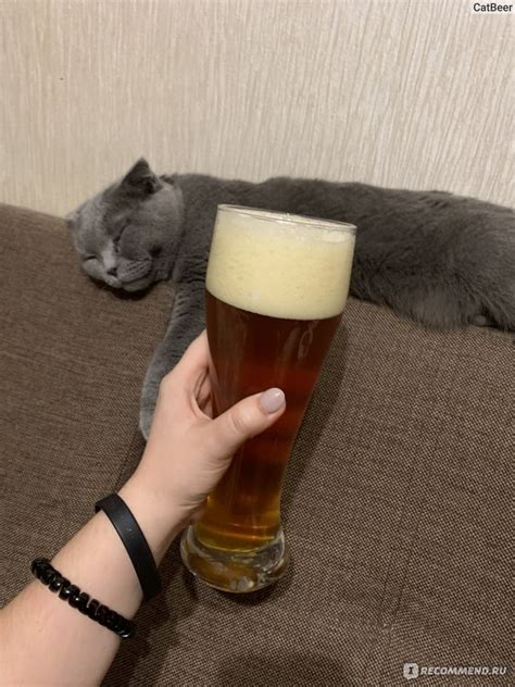 Пиво Salden's Oak Smoked Tomato Gose - «Дымное томатное гозе с ...