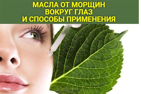 МАСЛА ОТ МОРЩИН ВОКРУГ ГЛАЗ И СПОСОБЫ ПРИМЕНЕНИЯ