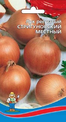 Лук чернушка под зиму: посадка, когда сажать, посев