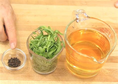 How to make Tarragon vinegar at Home | Best Homemade Recipe ~ CheckMyRecipe