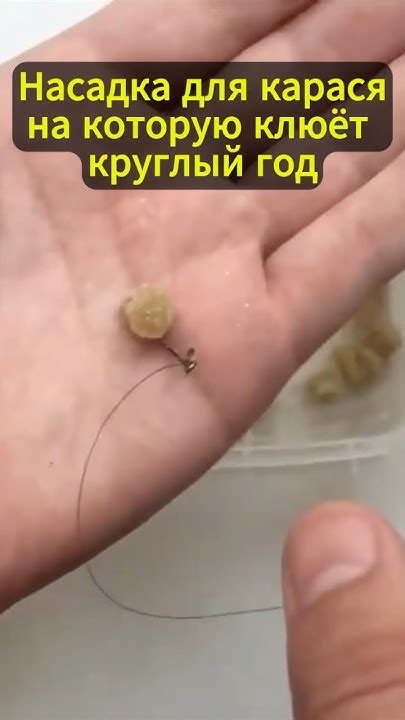 Насадка для карася на которую клюет круглый год #рыболовная #рецепт # ...