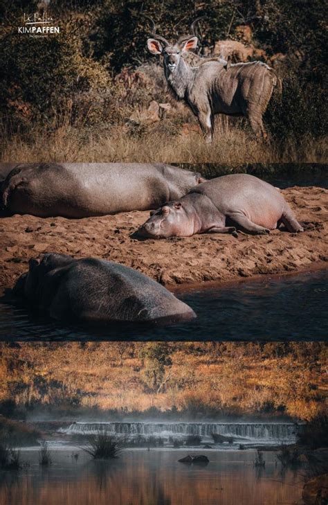 10 Best Places to Visit in Limpopo South Africa - Traveltomtom.net