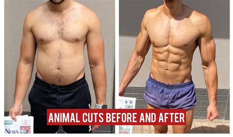 **Animal Cuts Review: Sculpt Your Body with Precision** | by lico rice ...