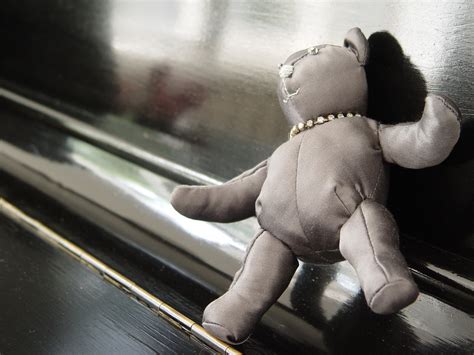 teddy 2 Free Photo Download | FreeImages