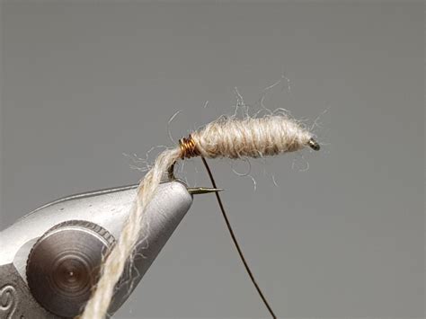 Killer Bug - Towarzystwo Lipieniowej Gorączki