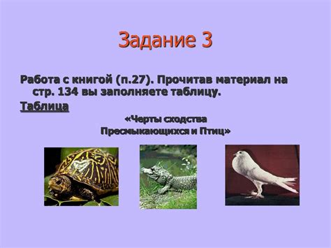 Класс птицы (7 класс) - Презентации по биологии