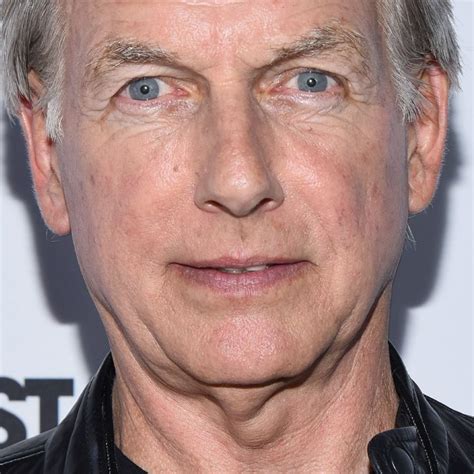 Ncis: Latest News, Pictures & Videos - HELLO! - Page 6 of 11