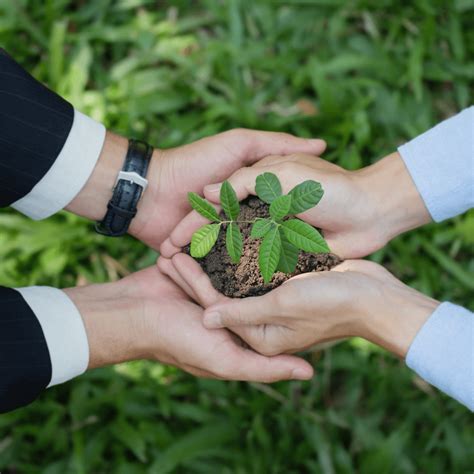 Guide to Harnessing ECO4 Scheme Benefits for Sustainable Living