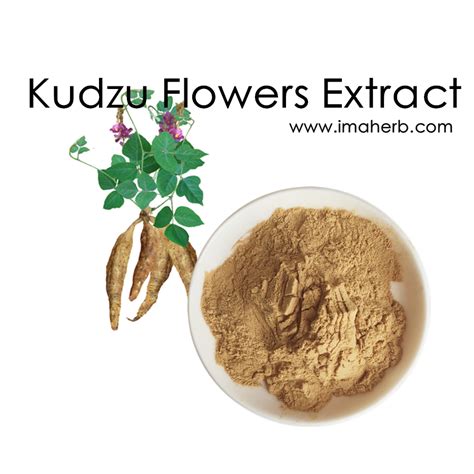 GMP Manufacture Organic kudzu flowers extract