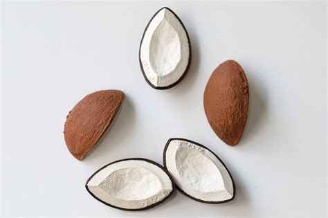 COCO THE COCONUT, прорезыватель для зубов купить Прорезыватели по ...