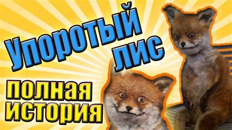 Упоротый лис. Полная история с продолжением - YouTube