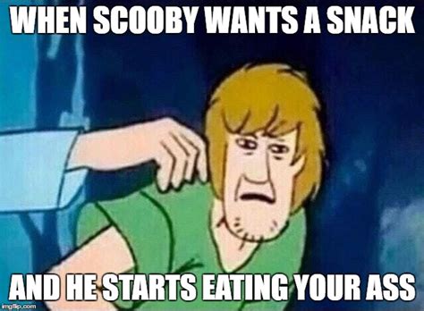 Scooby Doo Shaggy Memes - Imgflip
