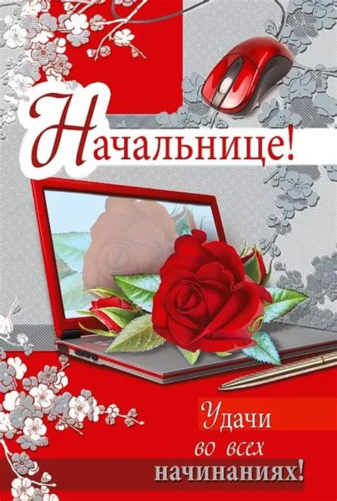 Прикольные открытки Начальнице с Днем рождения