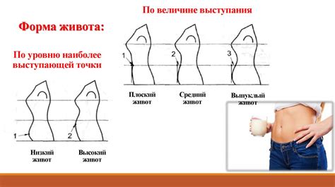 Морфологические признаки фигуры для конструирования одежды. Внешняя ...