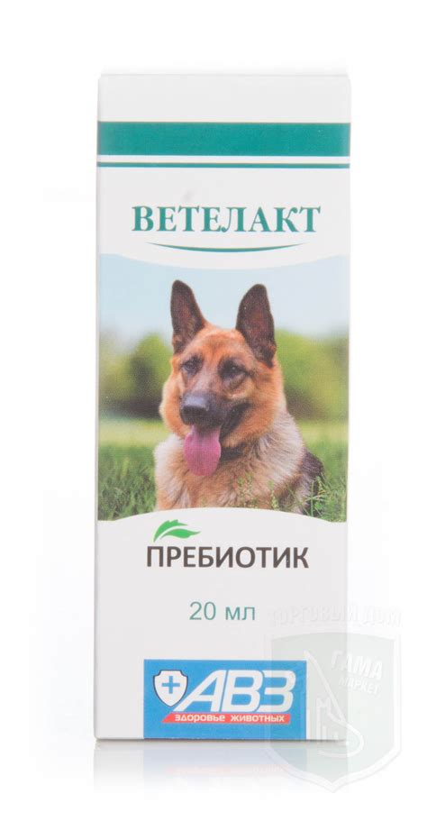 Ветелакт, 20 мл, инструкция по применению