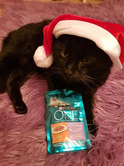 Purina One Bifensis pentru pisicute rasfatate - Lady Butterfly Dreams