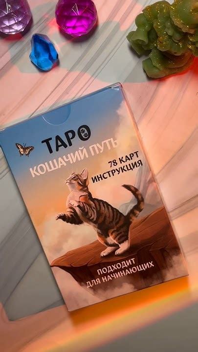 Таро «Кошачий Путь» 🐈 #тарообзор #обзортаро #картытаро #тарокарты - YouTube