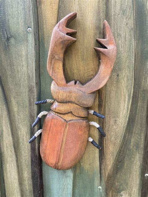 Wooden beetle stock image. Image of fence, wood, beetle - 245743685