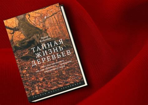 Тайная жизнь деревьев. Что они чувствуют, как они общаются – открытие ...