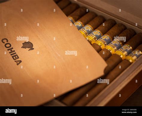 Cohiba zigarren -Fotos und -Bildmaterial in hoher Auflösung – Alamy