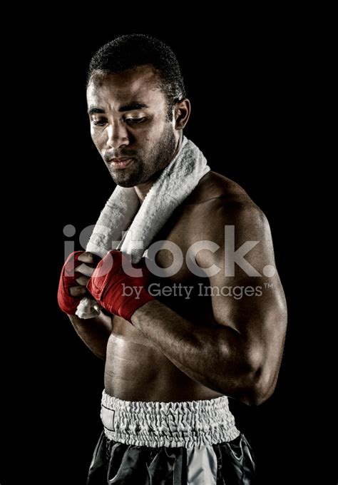 Der Boxer Stockfoto | Lizenzfrei | FreeImages