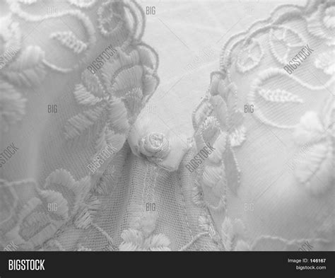Brassiere Image & Photo (Free Trial) | Bigstock