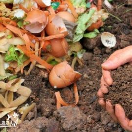 Как приготовить компост в домашних условиях или купить, что лучше?