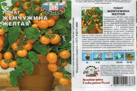 Томат Жемчужина желтая : характеристика и описание мелкоплодного сорта ...