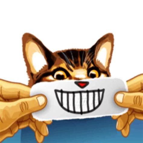 Набор стикеров для Telegram «Кот Мем»