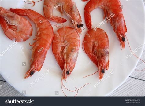 Raw Shrimp on a Plate - Shrimp Recipes