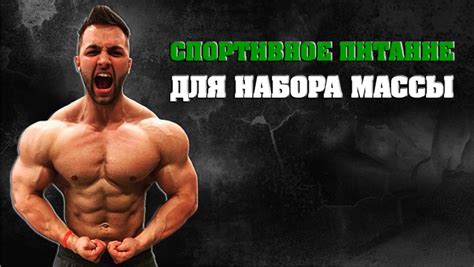 Лучшее спортивное питание для набора мышечной массы для мужчин и женщин