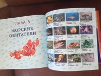 Книга: Большая энциклопедия животных - . Купить книгу, читать рецензии ...