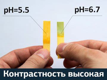 Лакмусовая бумага: как выбрать и где купить
