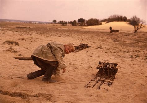 Фото: Иди и смотри / Кадр из фильма «Иди и смотри» (1985) #3994186
