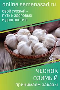 Как сажать и ухаживать за гвоздикой. Посадка и уход за турецкой гвоздикой