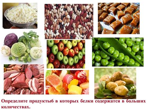 Содержание белков в биологических обьектах - презентация онлайн