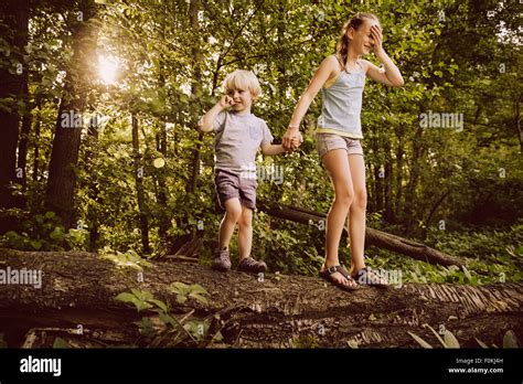 Kleine Jungen und Mädchen balancieren auf umgestürzten Baum im Wald Stockfotografie - Alamy