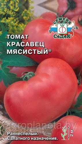 Томат Красавец мясистый®, 0.1г: семена, семена овощных культур ...