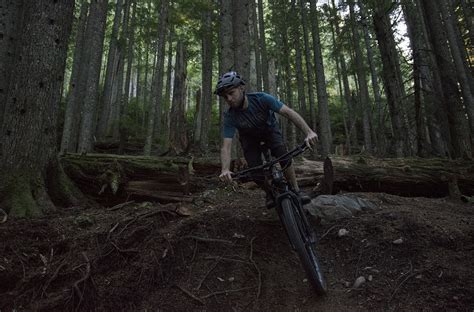 Hayes Dominion A4 Brakes | Blister