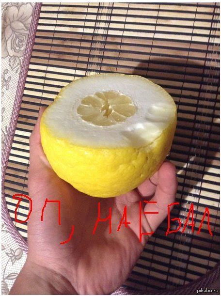 Лимон | Пикабу
