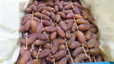 Deglet Noor Dates | Fruits & Vegetable - MENA Central Market