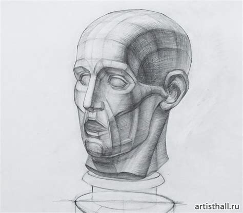 Рисунок головы Экорше | Sketches, Portrait sketches, Male sketch