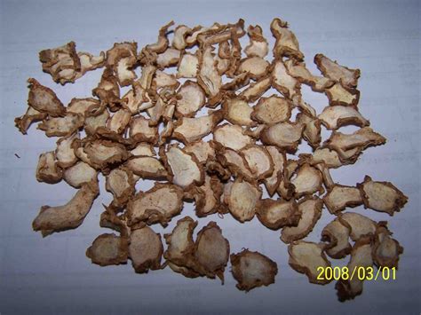 Kapur Kachri (zedoary) at best price in Raigad by Right Future ...