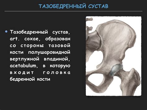 Визуализация тазобедренного сустава
