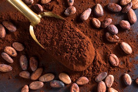 Amazing Health Facts About Cacao Powder - Daybreak, Politics ...