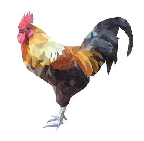 Cock PNG